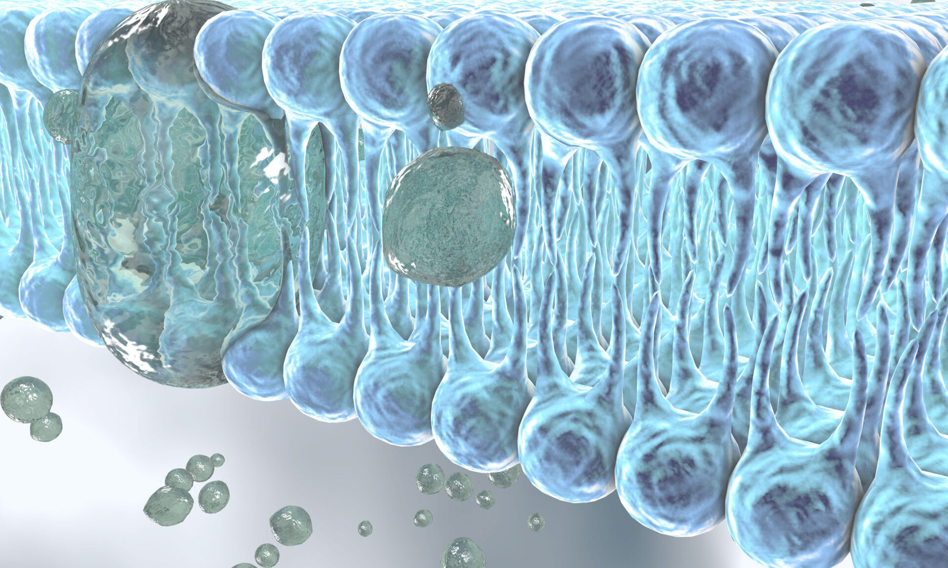 Events – Treat-ION